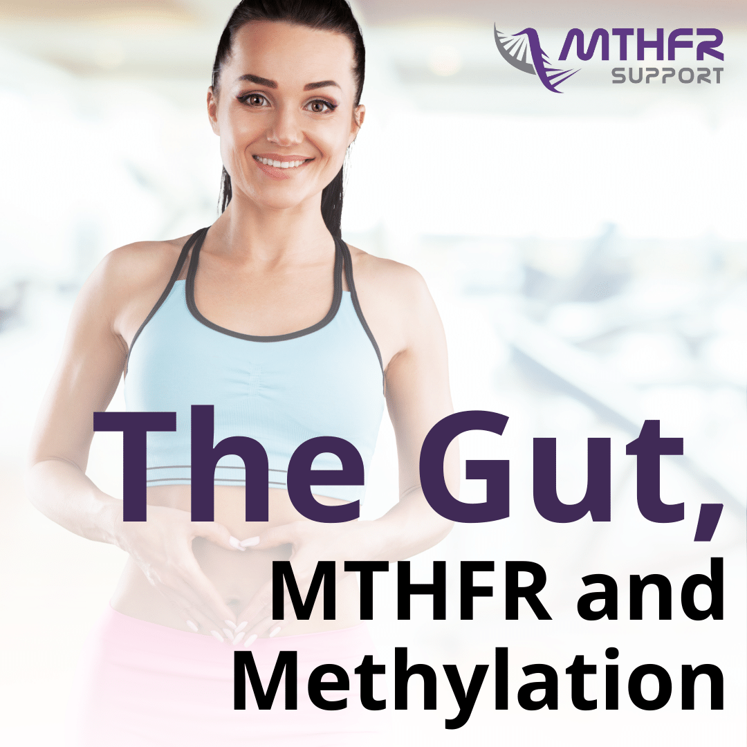 Practitioner Webinar: The Gut, MTHFR and Methylation — MTHFR Support Practitioner Webinar: The Gut, MTHFR and Methylation — MTHFR Support